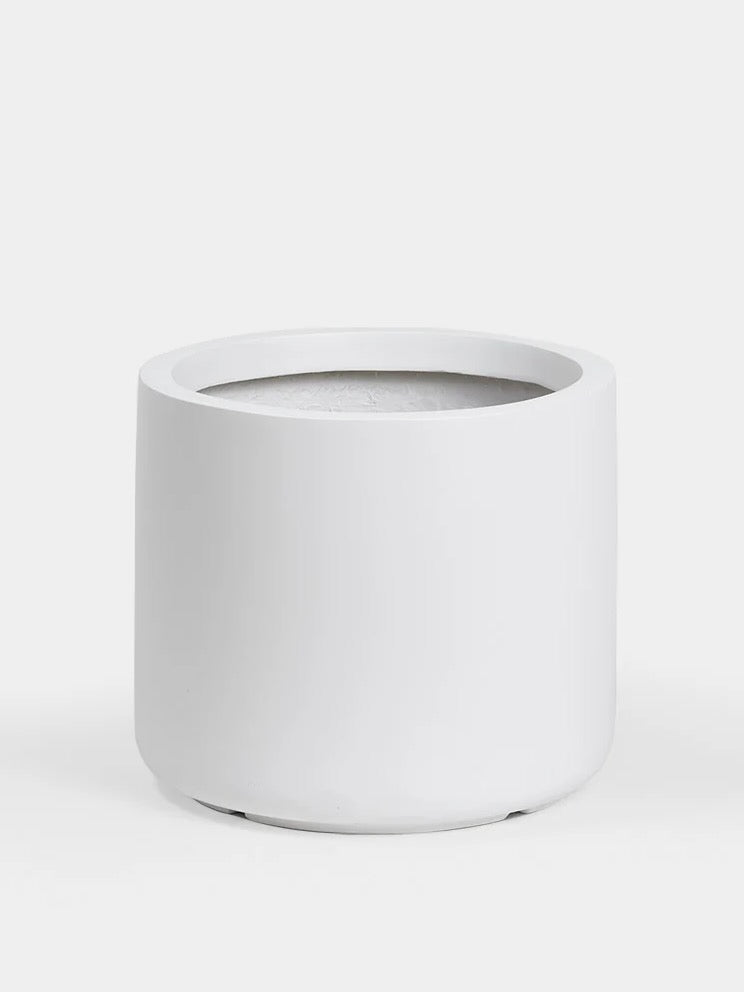 Fiberglass Pot, 10" Planter | Vancouver Plant Store | Frondly Plants