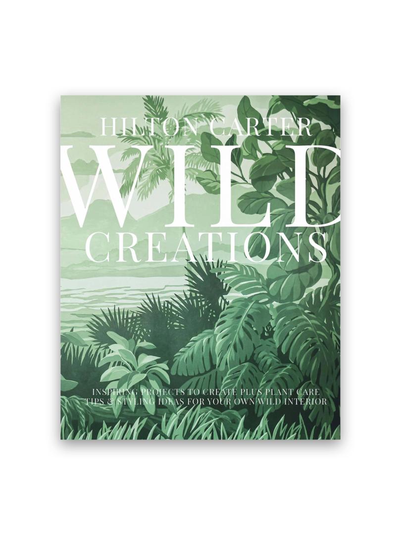 Wild Creations by Hilton Carter | Vancouver Plant Delivery | Frondly Plants