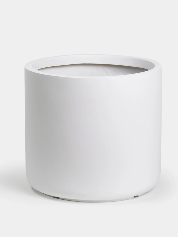 Fibreglass Plant Pots | Vancouver Plant Delivery | Frondly Plants